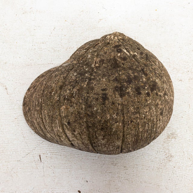 Vintage Cast Stone Snail Shell Garden Ornament | Chairish