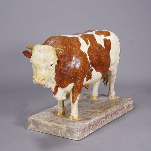 Vintage Demonstration Model of a German Spotted Cattle Bull | Chairish