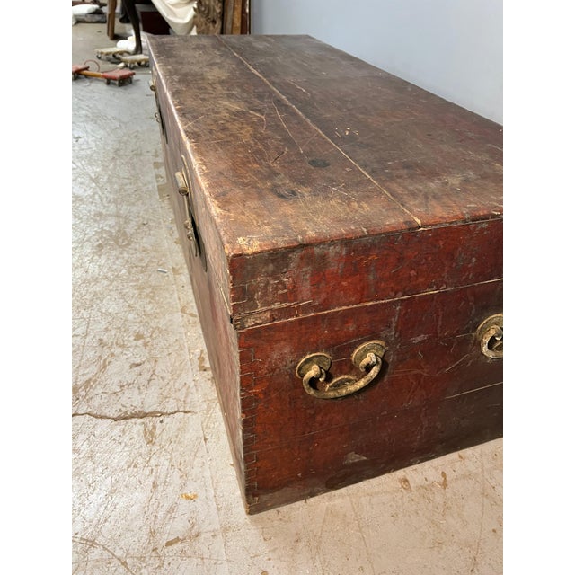 Large 19th Century Chinese Lacquered Camphor Wood Trunk | Chairish