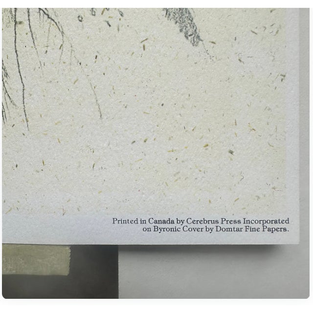 1960s Martin Glen (M.G.) Loates, Common Loon Study Drawing | Chairish