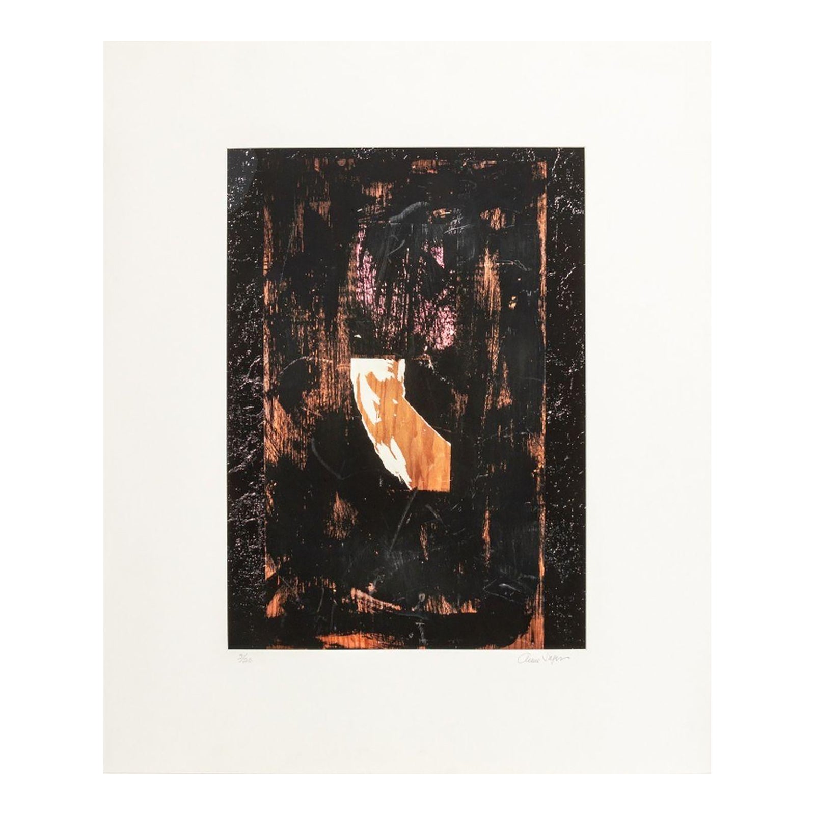 Anne Sager Flypaper Street Photography C-Print | Chairish