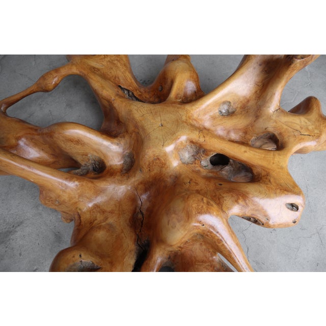 Organic Free Form Polished Burl Root Coffee Table Base | Chairish