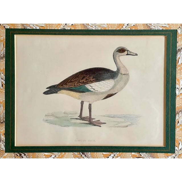 19th C. English Traditional Duck Bookplates -- a Pair | Chairish