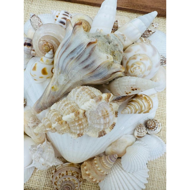 Vintage Coastal Handmade Shell Plaques, a Pair | Chairish