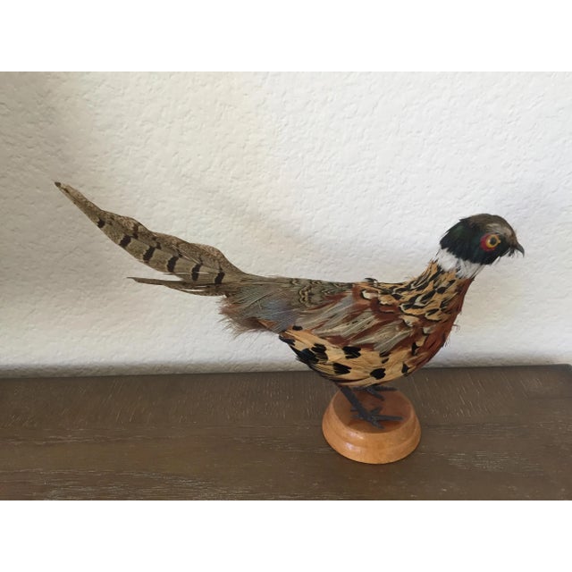 Vintage Feathered Ringneck Pheasant Bird Figurine | Chairish