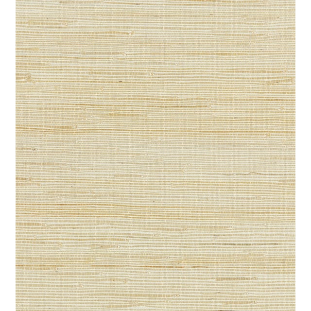 Sample - The House of Scalamandré Textured Sisal Wallcovering, White ...