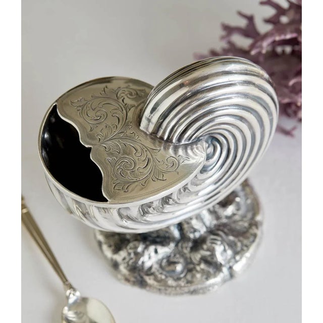 Antique 1880s English Nautilus Shell Spoon Warmer | Chairish