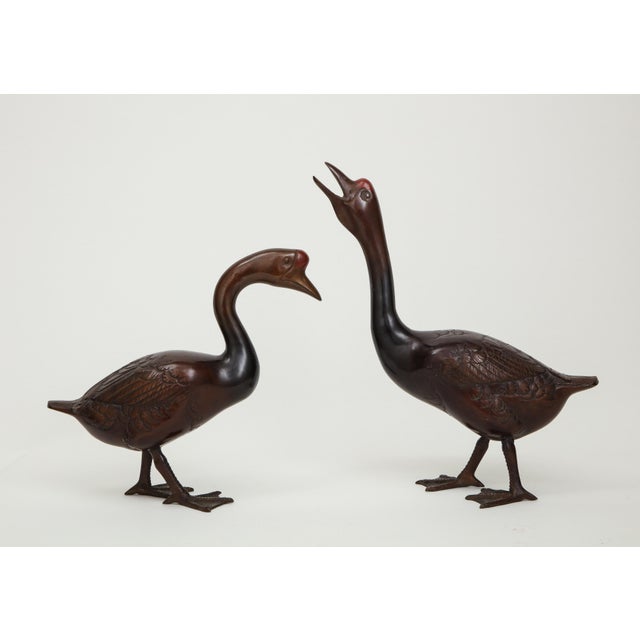 Bronze Geese - a Pair | Chairish