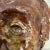 Raymond Wilson 1970s Clay Face Sculpture | Chairish