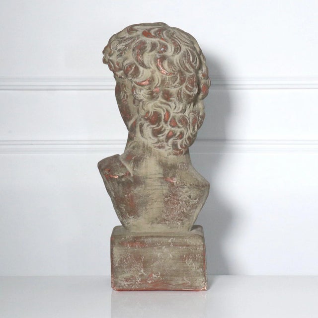 Life-Size Bust of David Plaster Sculpture | Chairish