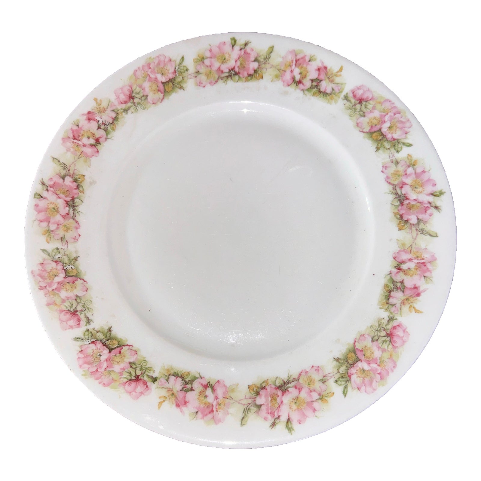 Antique Hand Painted Pink Rose Border Dinner Plate, Pk Silesia | Chairish