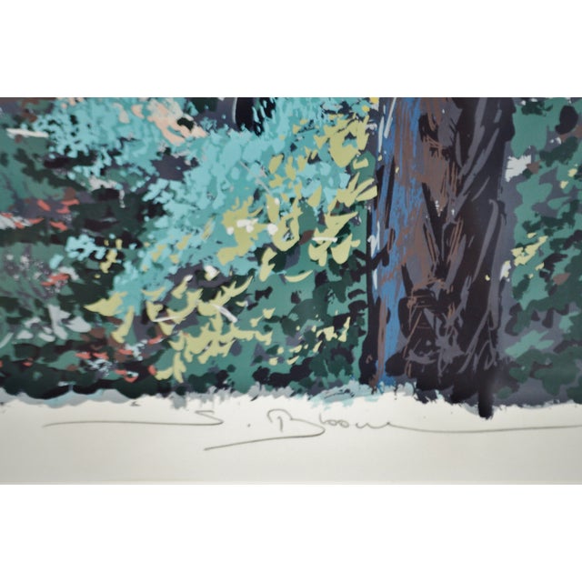 Vintage Framed Steve Bloom Pencil Signed Artist Proof Serigraph Early ...