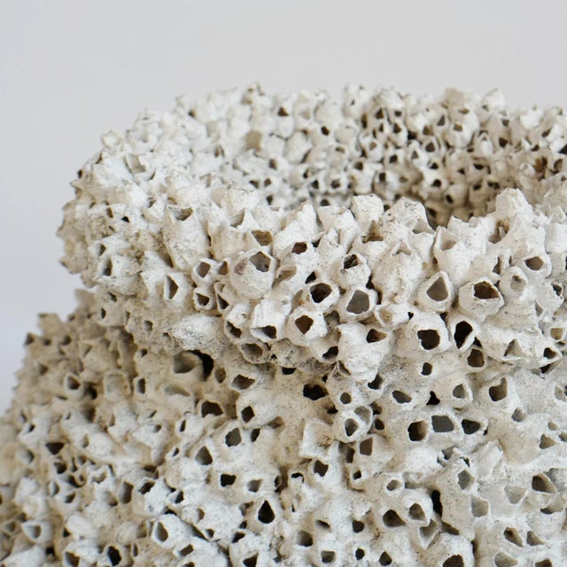 White Barnacle Shell Pot | Chairish