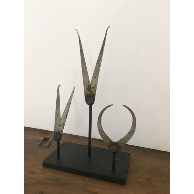 Mounted Display of Vintage Drafting Calipers | Chairish