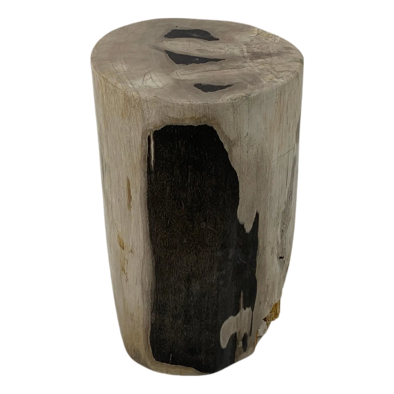 Beige to Black Petrified Wood Organic Stomp Shape Stand End Side Table ...