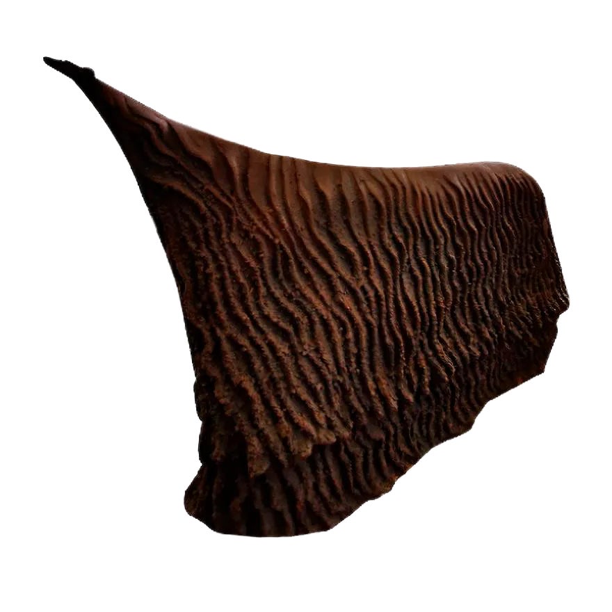 Large Terracotta Sculpture by Sergio Zanni, 1980s | Chairish