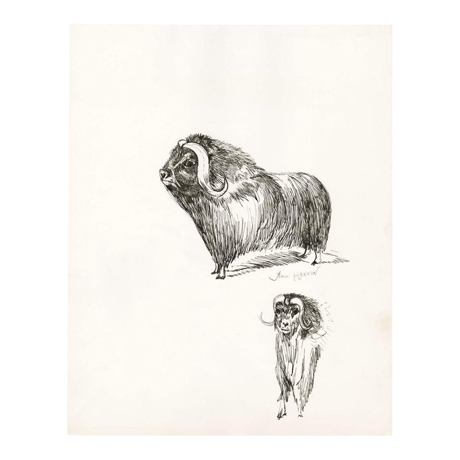 African Buffalo by Jean Hannon | Chairish