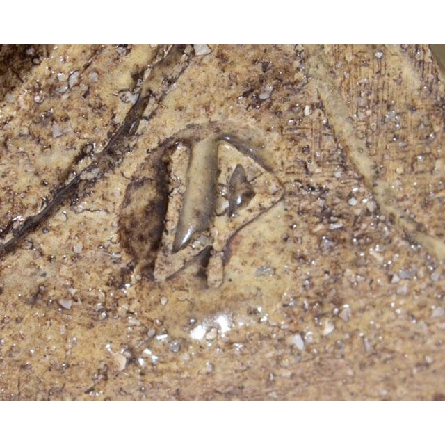 Signed “Strings” Studio Pottery Stoneware Fish Sculpture by Inna Rogova ...