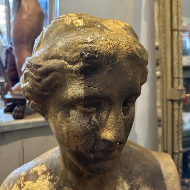 1950s Neoclassical Gilded Plaster Sicilian Bust of Venere Di Milo ...