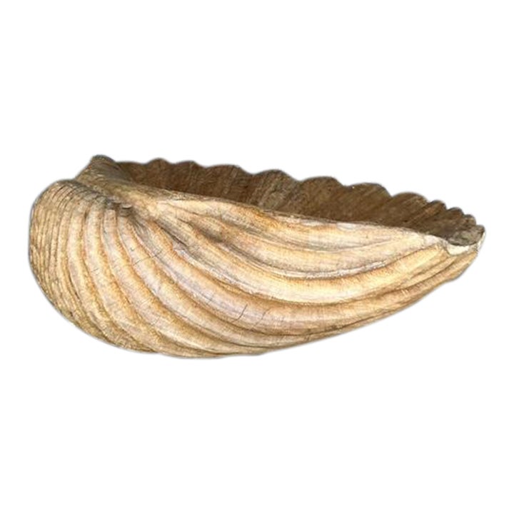 Vintage Coastal Monumental Hand Carved Gigas Clam Shell | Chairish