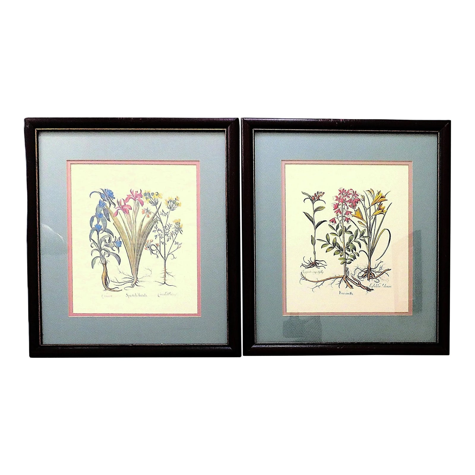 Pair of Vintage Botanical Lithograph Prints Floral Flowers Still Life ...