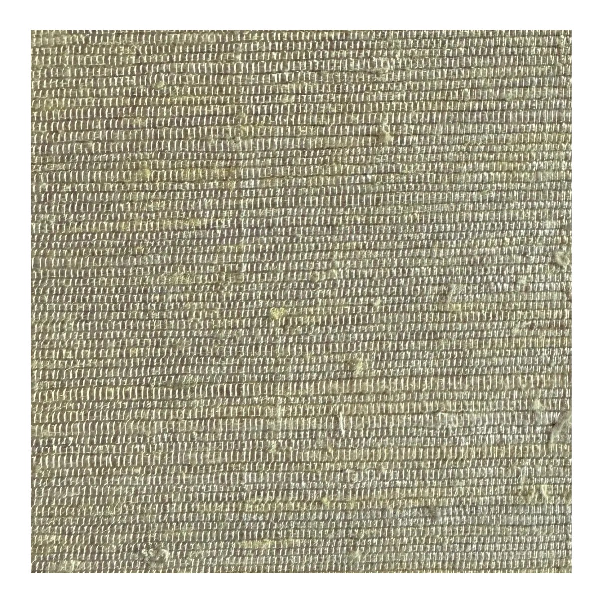 Nancy Corzine Trieste Raw Silk Linen Backed Fabric in Celedon - by the ...