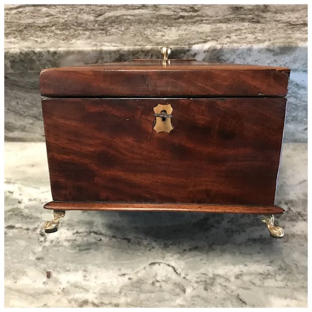 Early 19th Century English Regency Tea Caddy | Chairish