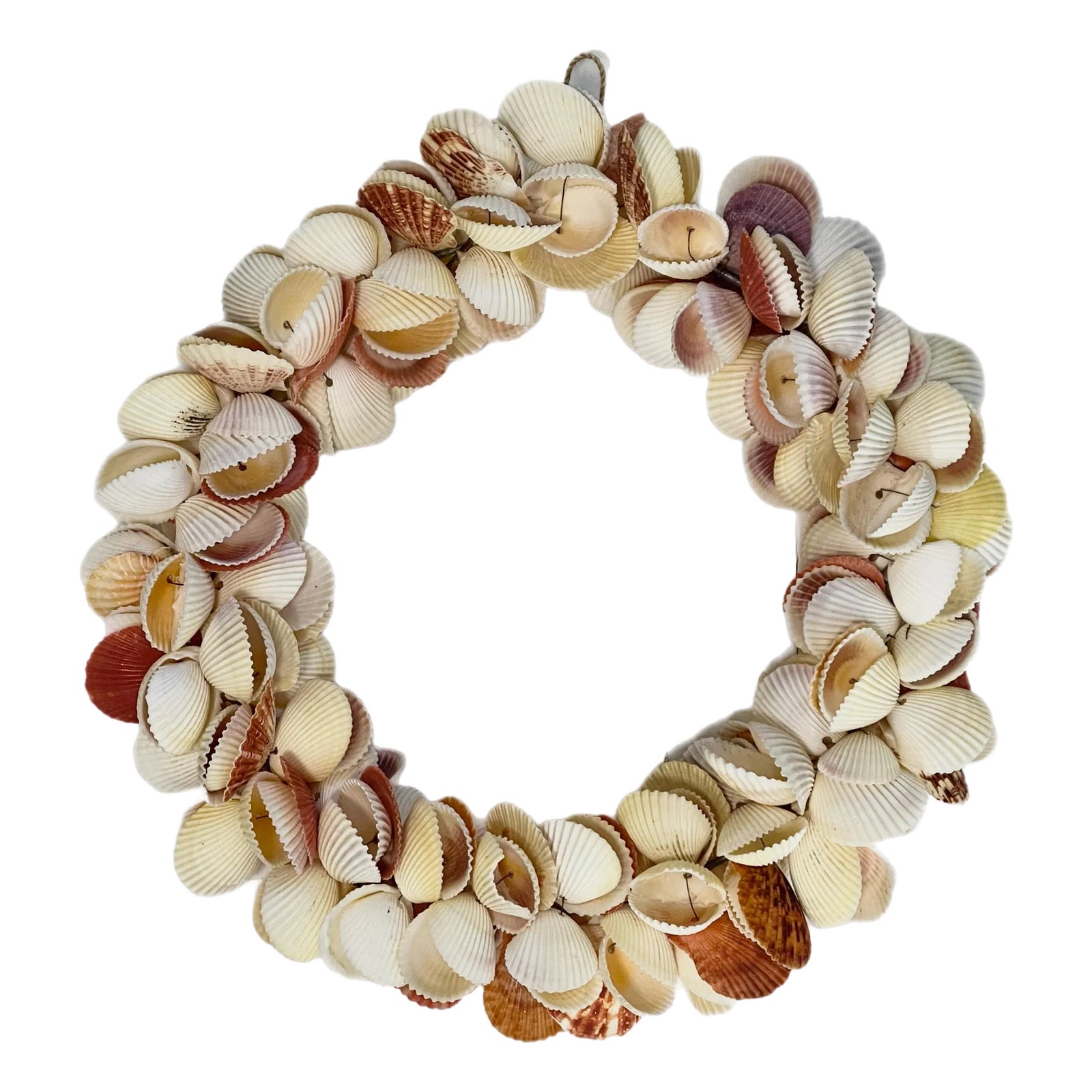 Coastal Natural Sea Shell Wreath | Chairish