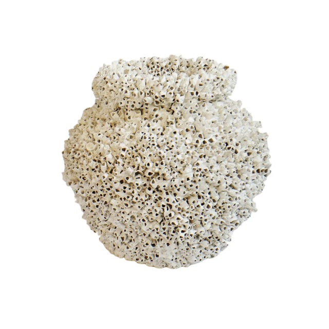 White Barnacle Shell Pot | Chairish