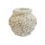 White Barnacle Shell Pot | Chairish