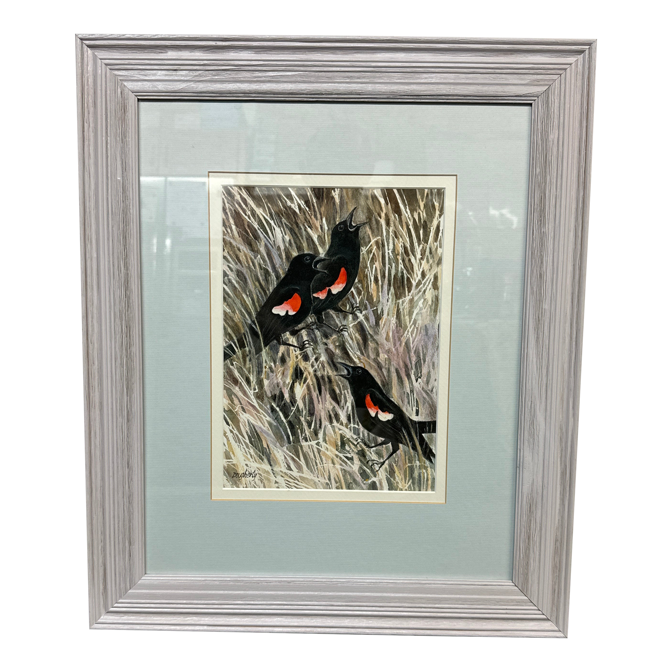 Dougherty Red-Tipped Wing Blackbird Watercolor Painting, Framed | Echo ...