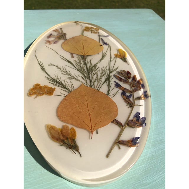 1970s Pressed Foliage Resin Art Autumn Leaves Wall Object | Chairish