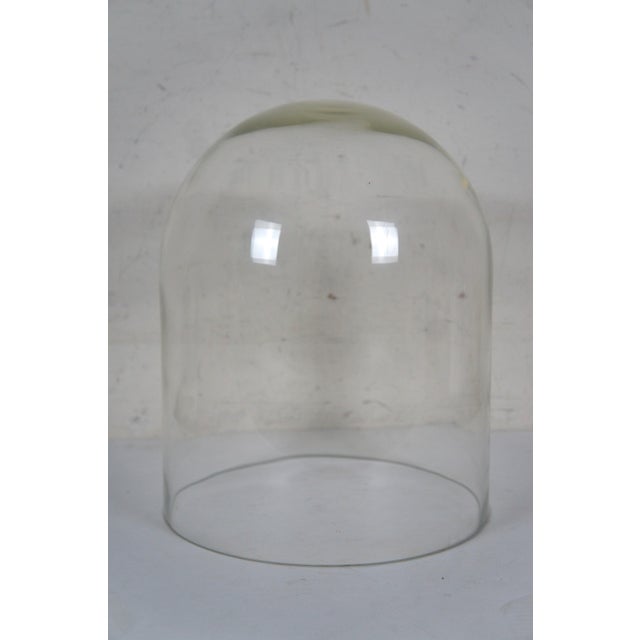 1990s Royal Doulton Centerpiece Figurines in Bell Jar Queen Elizabeth ...