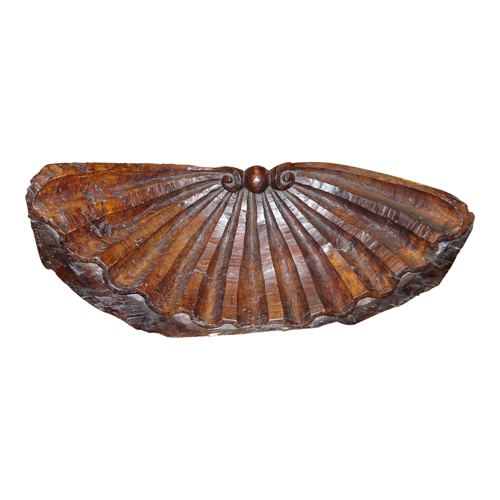 19th Century Walnut Carved Shell | Chairish