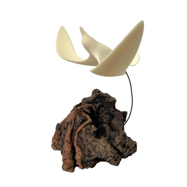 Large John Perry Burl Wood Mounted Flying White Seagull Kinetic Art ...