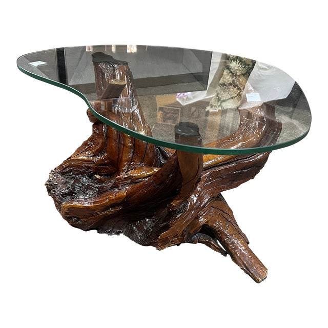 Custom Made 1960's Manzanita Wood Coffee Table | Chairish
