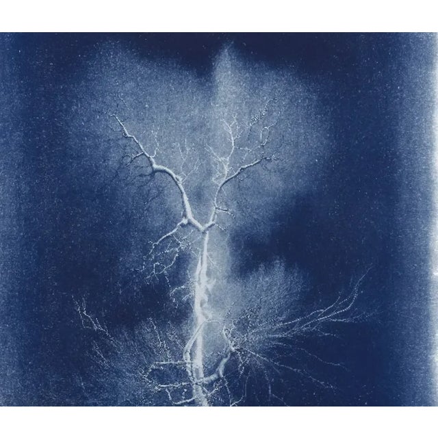 "Electrified Oak" Original by Sam Gulliver, Works on Paper, the ...