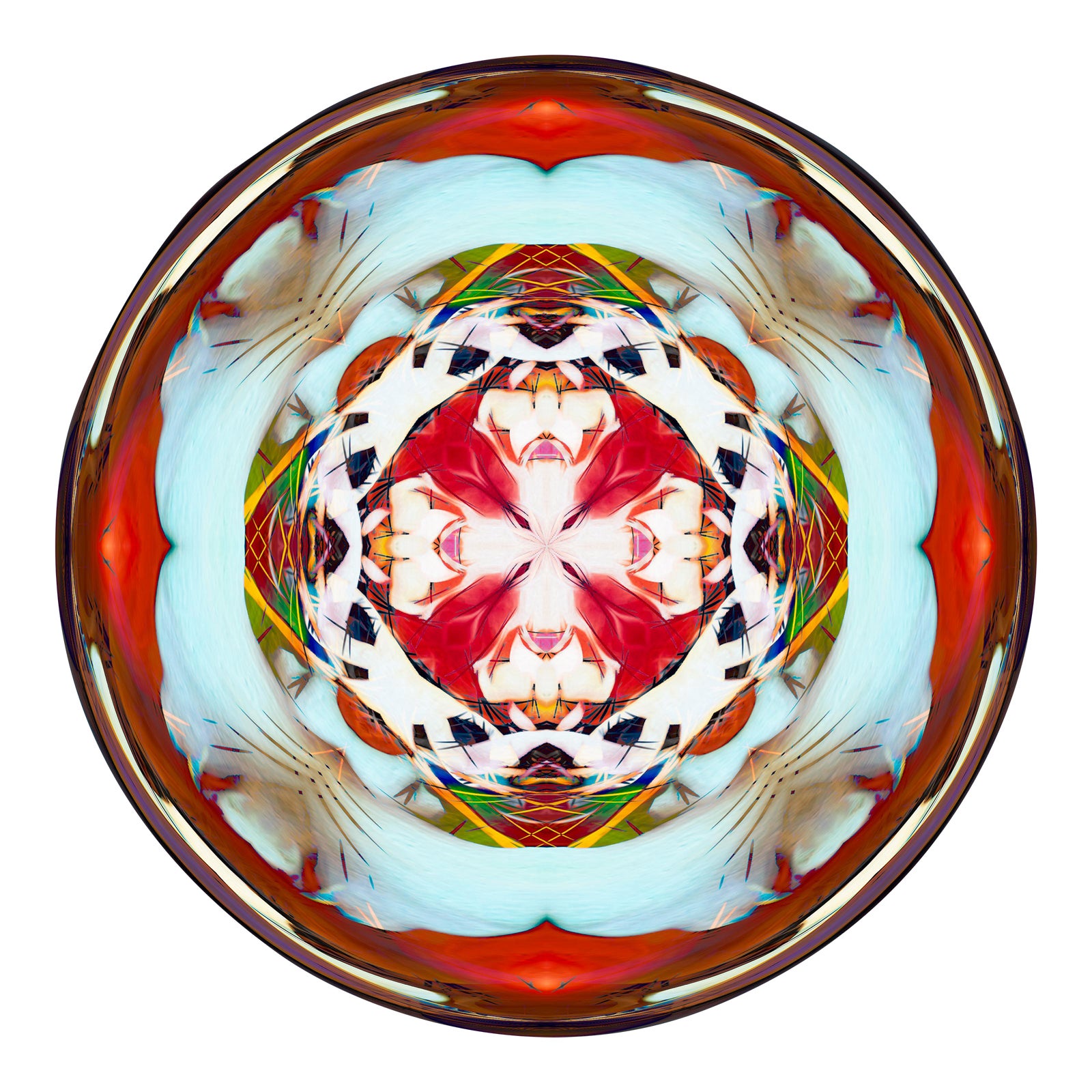 Decorative Plate - Bearded Iris by MacHatton & Hall | Chairish