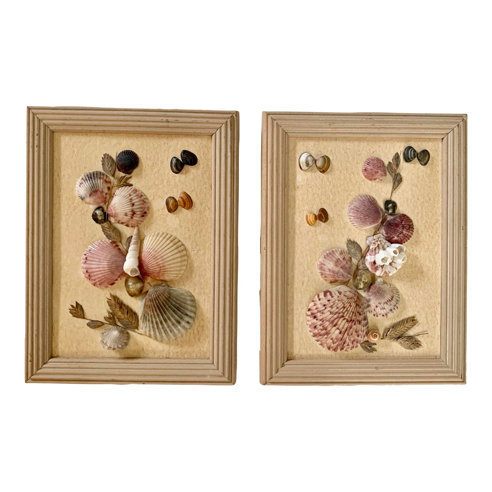 Pair Vintage Shell Art Wall Hangings Coastal Cottage Decor | Chairish