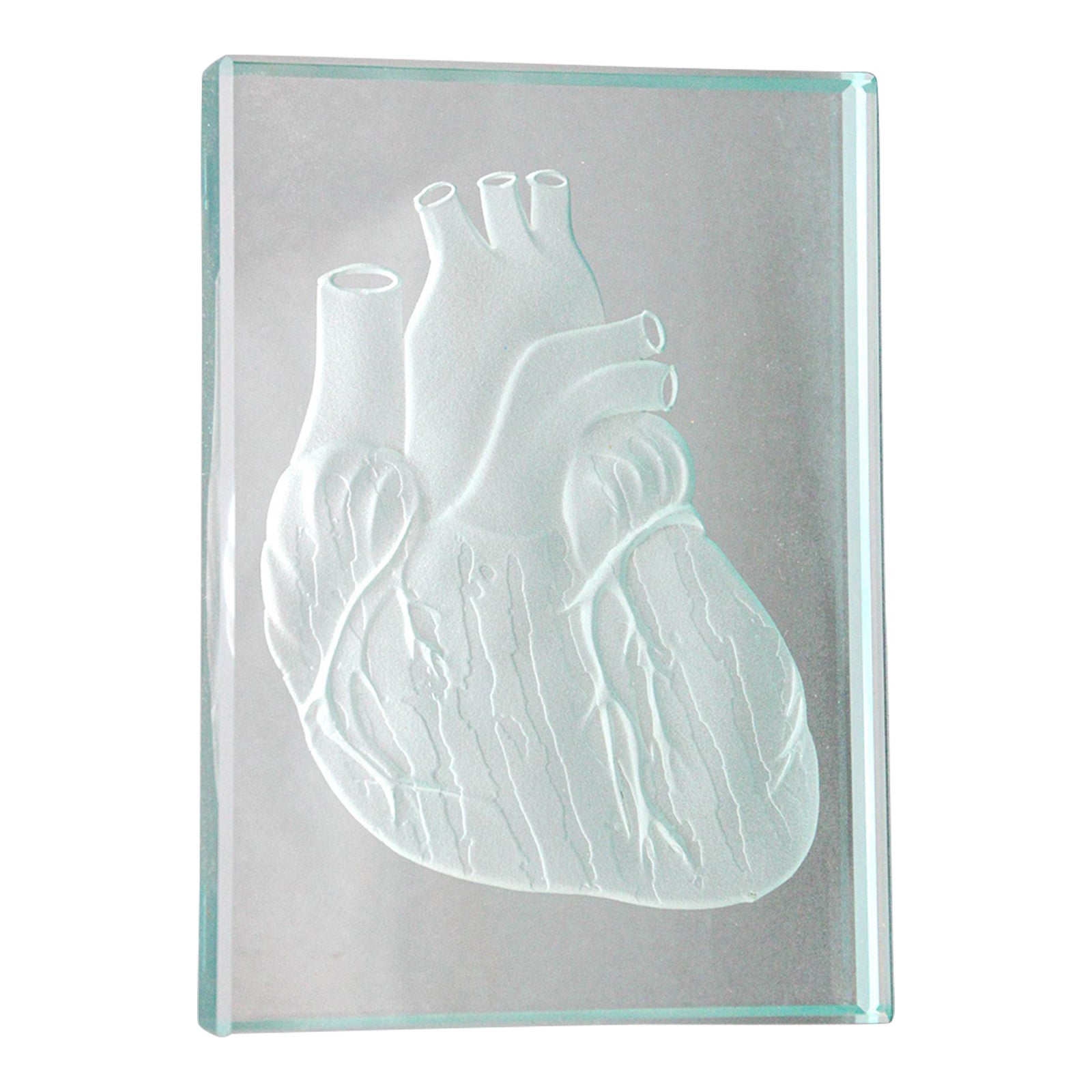 Engraved Anatomical Heart Model Crystal Art Glass Decor Paperweight ...