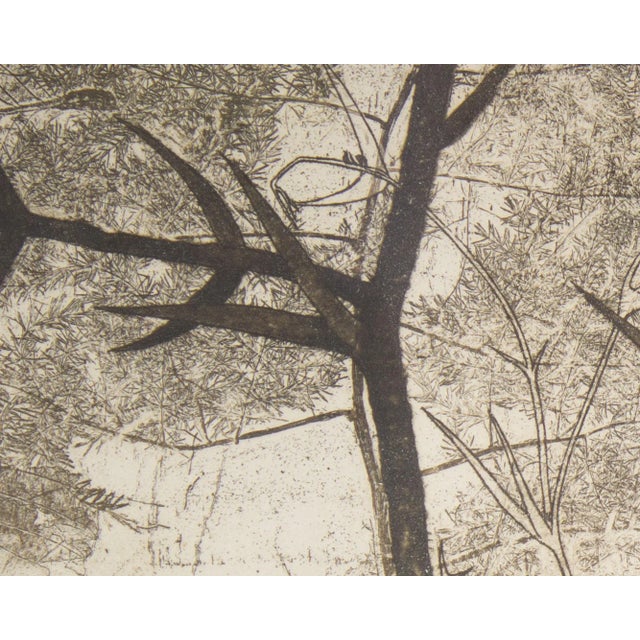 “Thorny Edge” Limited Edition Etching by Bethia Brehmer | Chairish