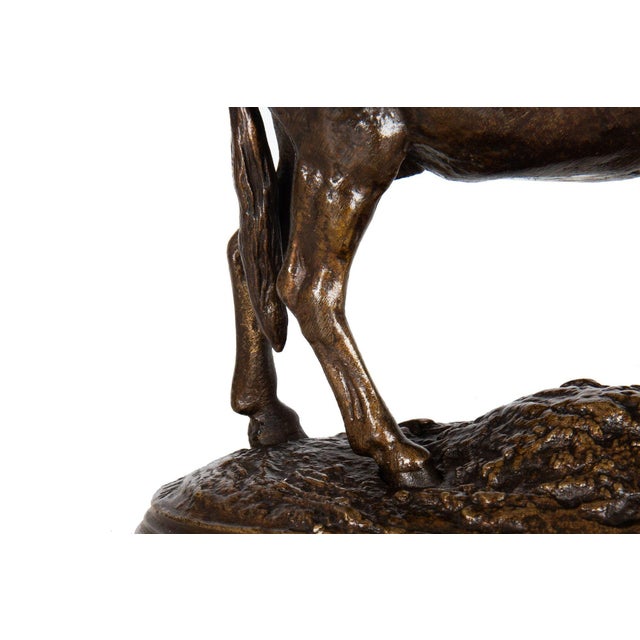 French Antique Bronze Sculpture of “African Donkey” by Auguste Cain ...