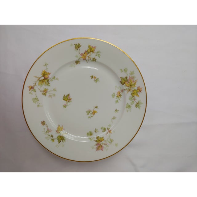 Vintage Haviland's Autumn Leaf Pattern Dinner Plates, Set of 6 | Chairish