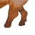 Early 20th Century French Butcher's Shop Sign | Chairish