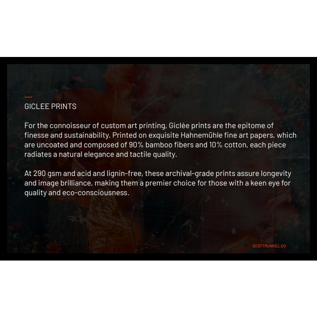 Scott Runkel's Beverly Hills Orchid Bloom With Muted Red Border Giclée ...