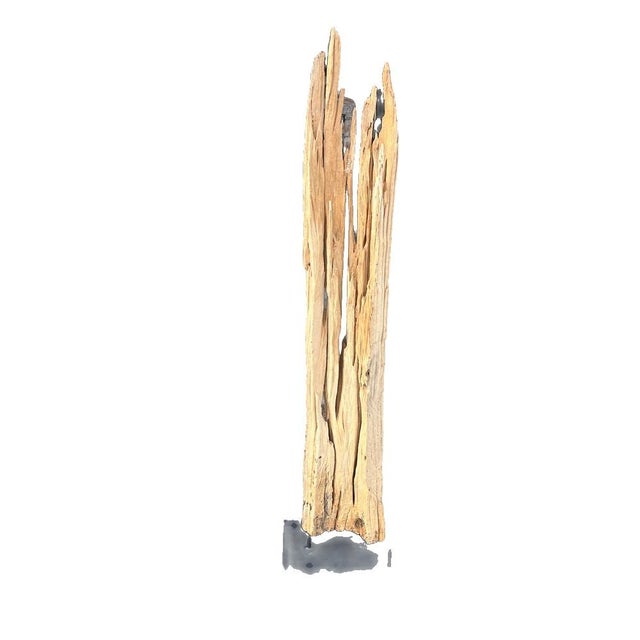 Antique Driftwood On Metal Stand | Chairish