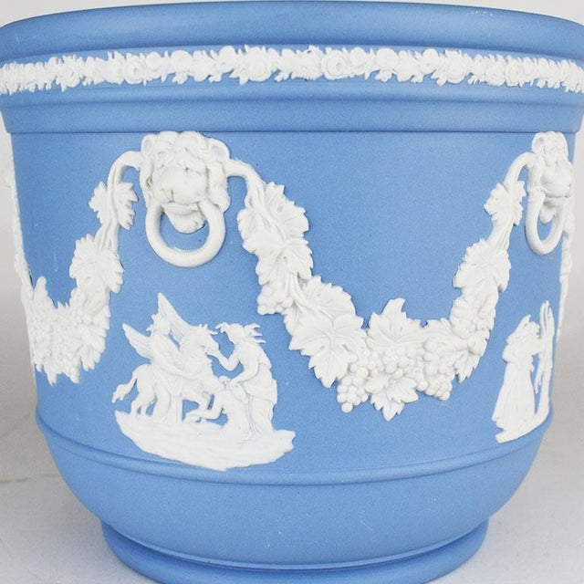 Neoclassical Jasper Cachepot or Flower Pot in Wedgwood Blue by Wedgwood ...