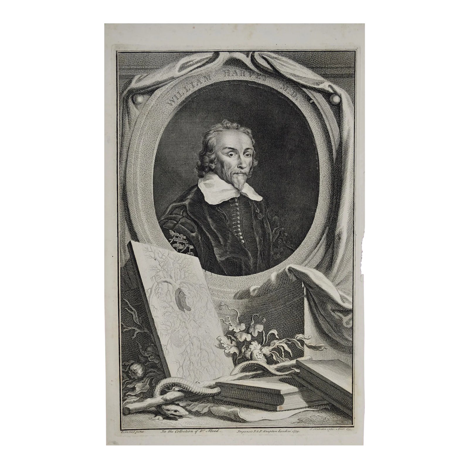 william harvey departments