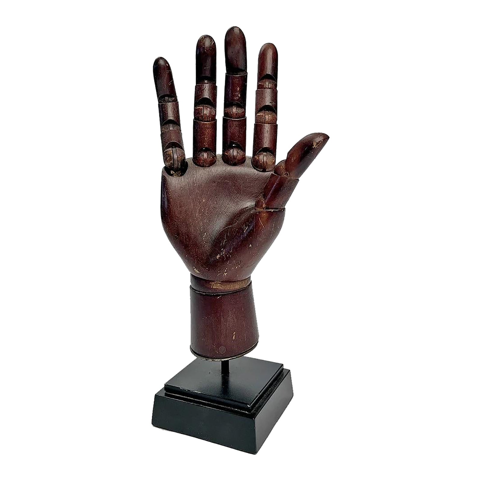 Early 20th Century Articulated Hand Model | Chairish