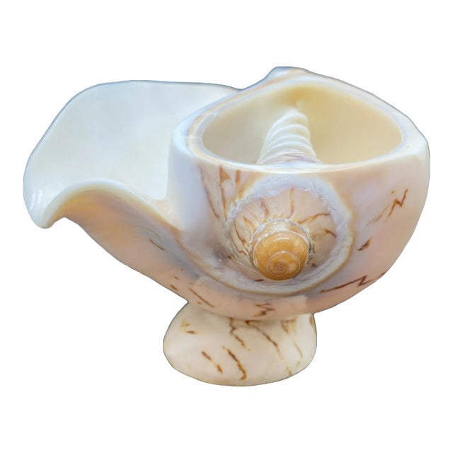 Early 20th Century Conch Seashell Pedestal Bowl Catchall | Chairish